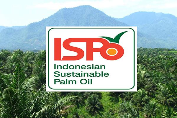 Dorong Petani Sawit Raih Sertifikat ISPO, BPDPKS Gunakan Pendekatan ...